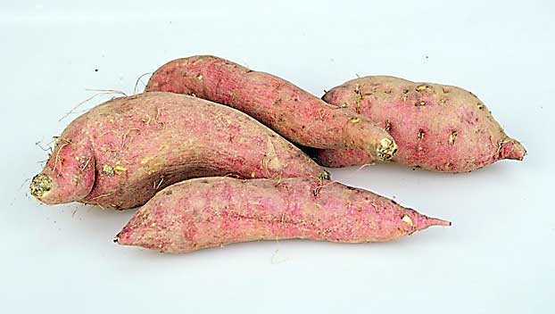 It’s official: Alabama adopts sweet potato as official state vegetable ...